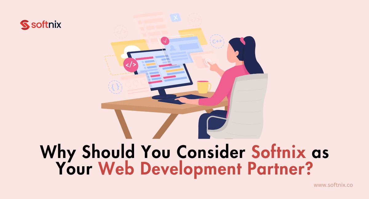 Why Should You Hire a Web Development Company? - Softnix